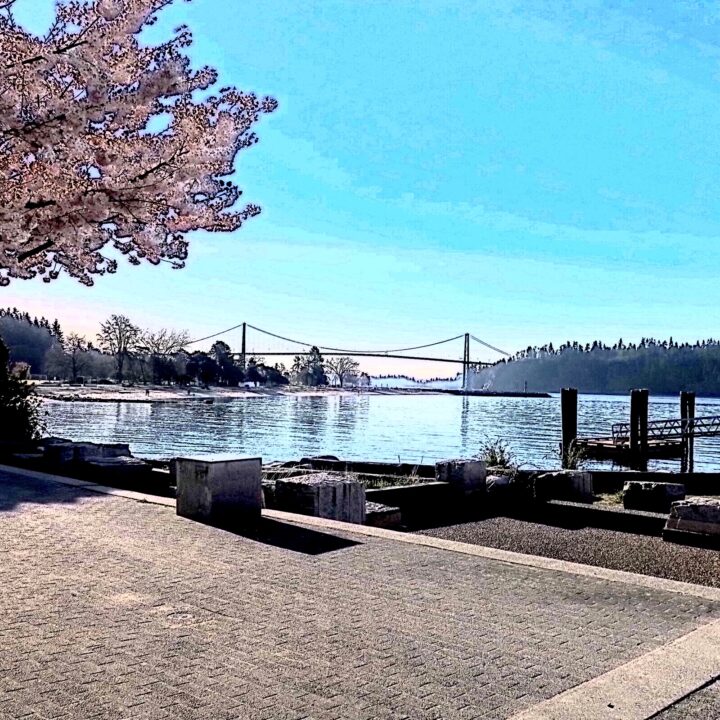Scenery at Ambleside Beach | Canadarts